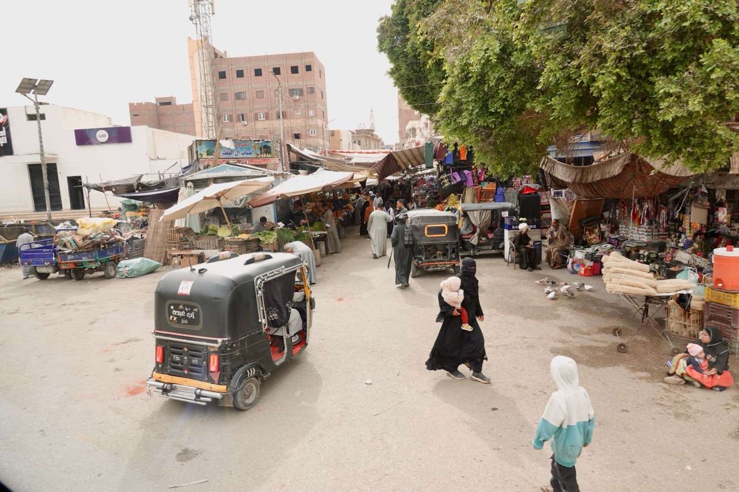 Episode 764 – Egypt Day 10: Edfu’s Temple of Horus & “Women in Egypt” – Rose and Ted’s Excellent ...