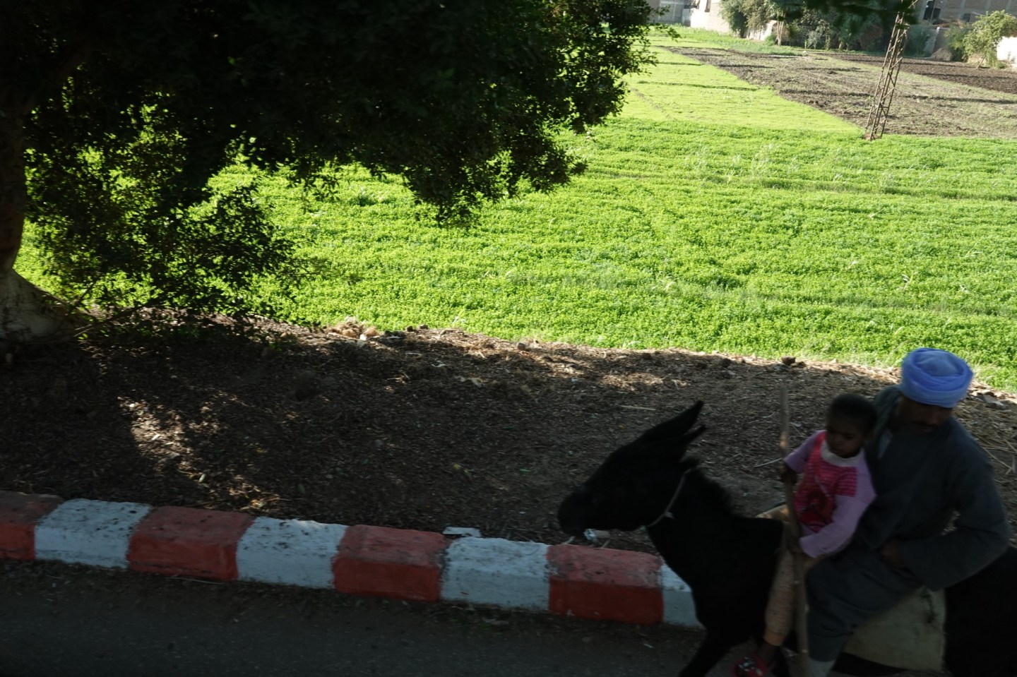 Episode 759 – Egypt Day 5 Part 2: Dendera Temple – Rose and Ted’s ...