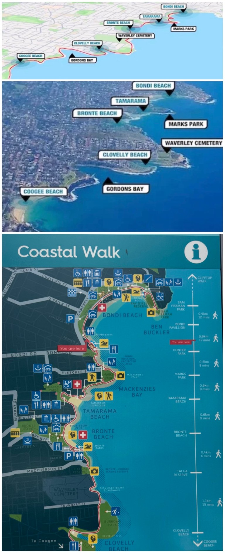 Episode 829 – The Bondi to Coogee Coastal & Cliff Walk – Rose and Ted’s ...
