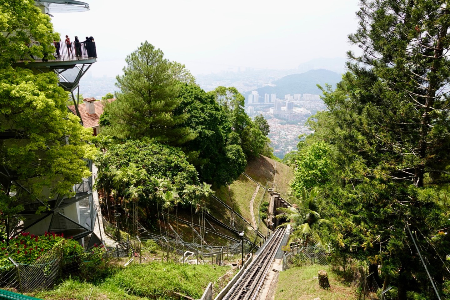 Episode 841 – Penang at a Leisurely Pace: Day 3 (The Habitat) – Rose ...